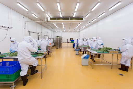 About – Premium Foods Co.,Ltd.