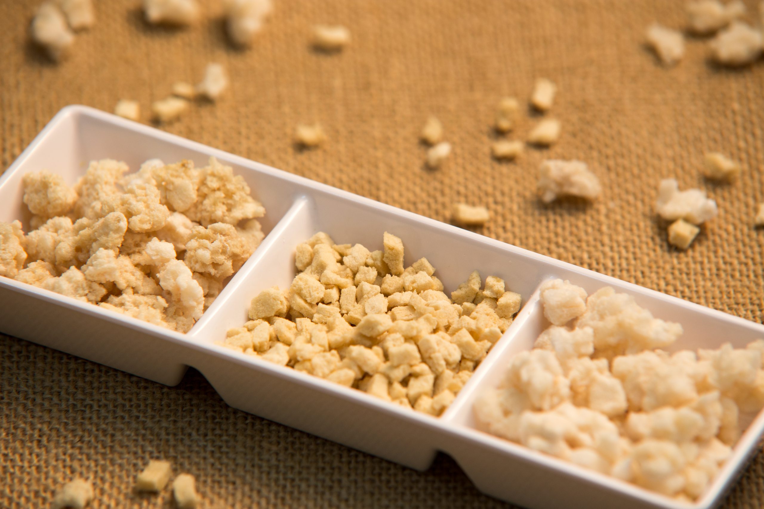 Freeze Dried (Meats) – Premium Foods Co.,Ltd.